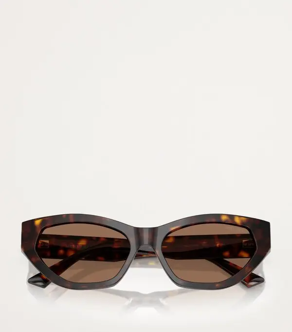 JIMMY CHOO Acetate Jc5022b Sunglasses - Brown