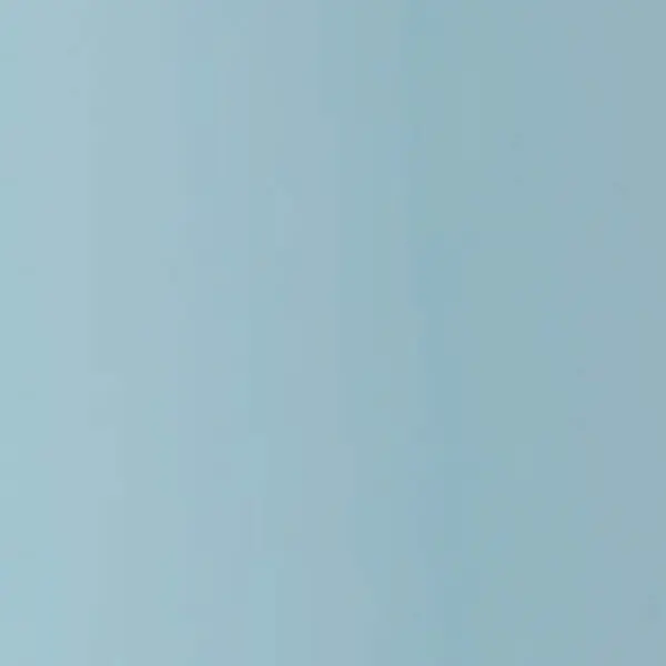 LA BONNE BROSSE N.04 The Miracle Petite Brush - Blue