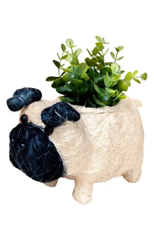 LIKHA Baby Pug Handwoven Planter - Off White/black