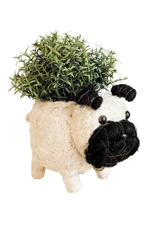 LIKHA Pug Handwoven Planter - Off White/black