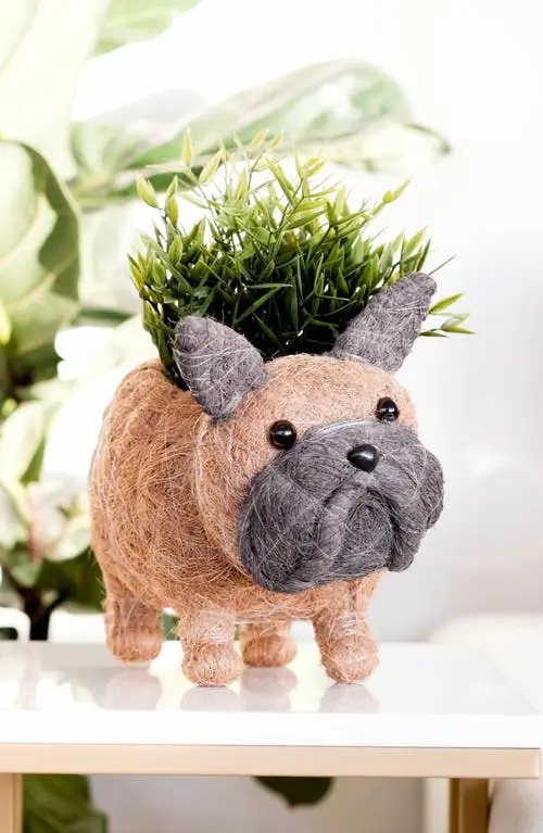 LIKHA French Bulldog Handwoven Planter
