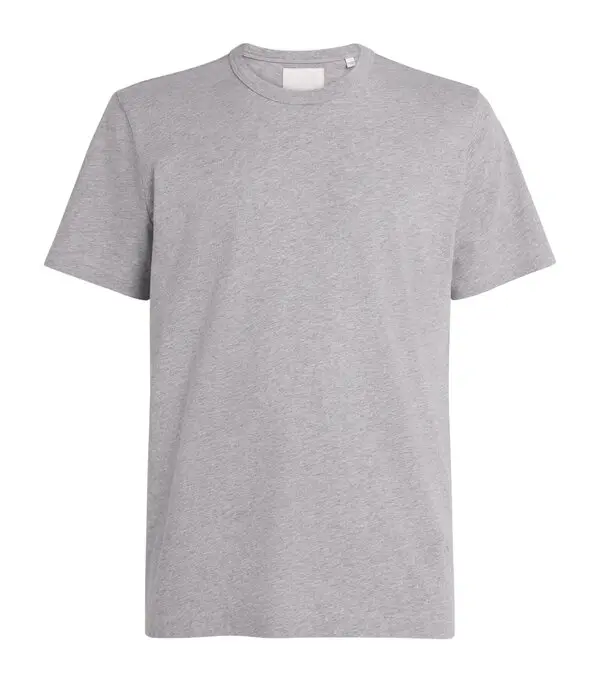 Citizens Of Humanity Organic Cotton Everyday T-shirt - Grey