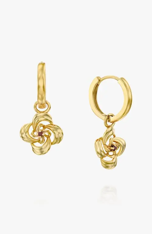 SEREIA OFFICIAL Cammila Oversized Earrings - Yellow Gold