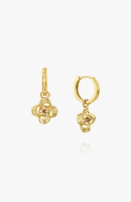 SEREIA OFFICIAL Camilla Hoop Earrings - Yellow Gold