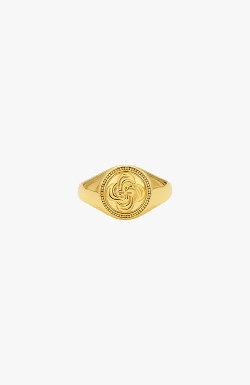 SEREIA OFFICIAL Audrey Signet Ring