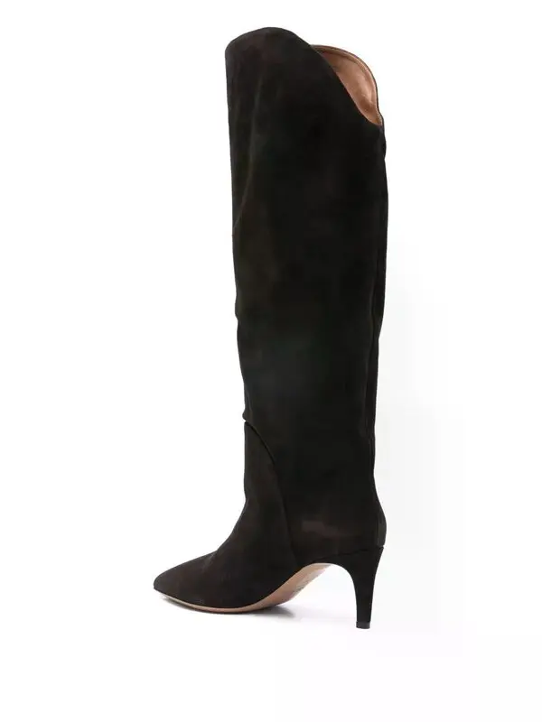 Paris Texas Pointed Calf Suede Boots