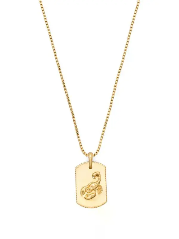 Maje Tone Zodiac Sign Plaque Necklace