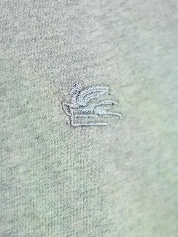Etro Embroidered T-shirt - Grey