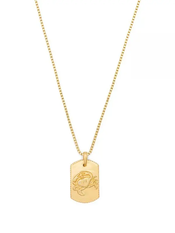 Maje Zodiac Sign Plaque Necklace