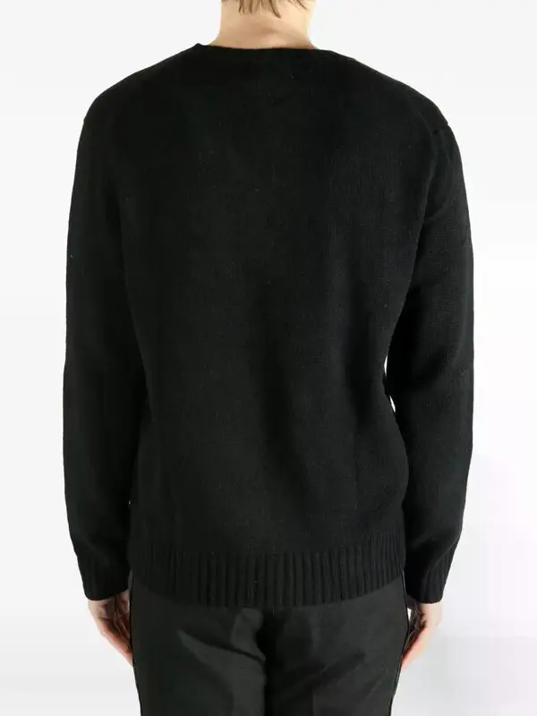 Polo Ralph Lauren Crew-neck Sweater