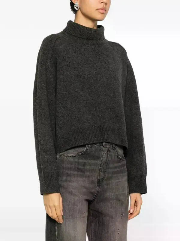 Vanessa Bruno Ballerine Turtleneck Sweater