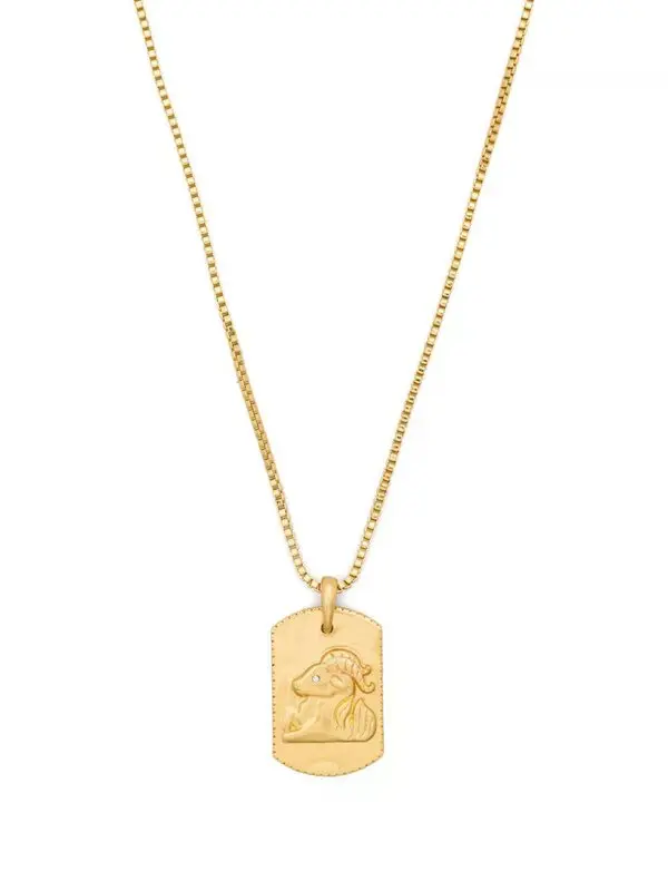 Maje Zodiac Sign Plaque Necklace