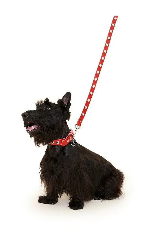 LITTLE BEAST Ruby Flower Power Leash In Red