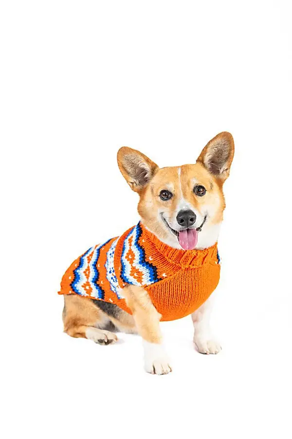 CHILLY DOG Campfire Fair Isle Wool Dog Sweater
