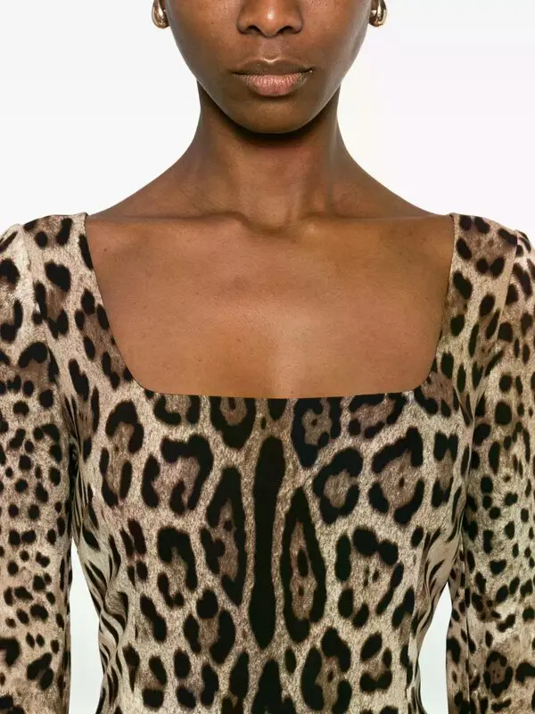 Dolce & Gabbana Animal-print Dress