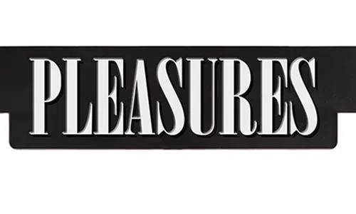 PLEASURES Follow License Plate Frame