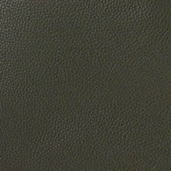Loewe Grained Calfskin Loop Tote Bag - Green