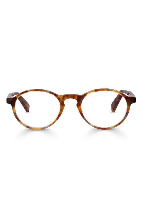 Eyebobs Board Stiff Reading Glasses - Spotty Blue Tortoise
