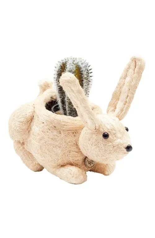 LIKHA Bunny Handwoven Planter - White