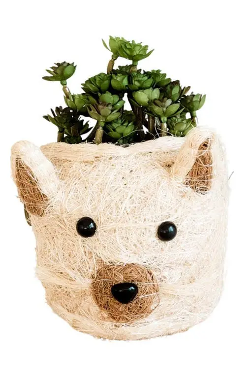 LIKHA Mini Cat Succulent Planter