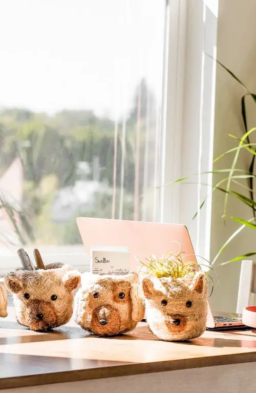 LIKHA Mini Cat Succulent Planter