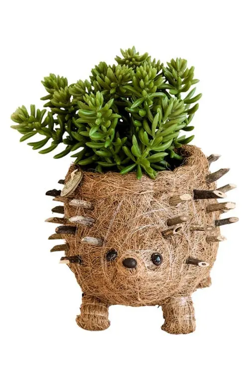 LIKHA Baby Hedgehog Handwoven Planter