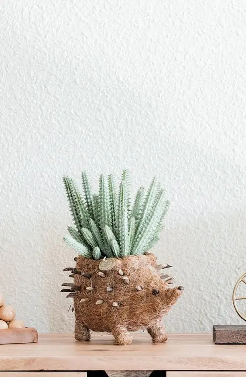 LIKHA Baby Hedgehog Handwoven Planter
