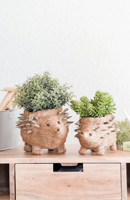 LIKHA Baby Hedgehog Handwoven Planter