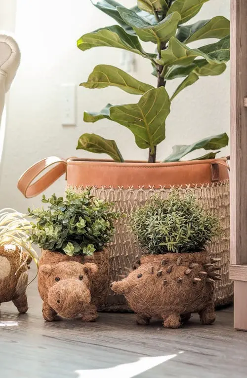 LIKHA Hedgehog Handwoven Planter
