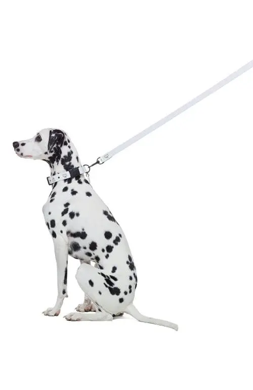 Mcm Pet Leash In Visetos - White