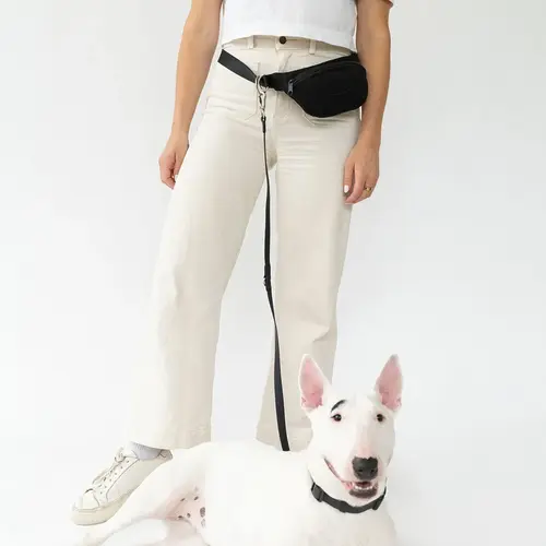 UNCOMMON GOODS 4-in-1 Dog Walking Leash Bag