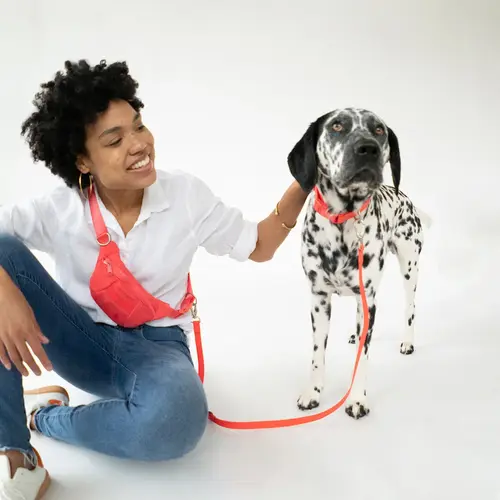 UNCOMMON GOODS 4-in-1 Dog Walking Leash Bag