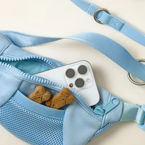 UNCOMMON GOODS 4-in-1 Dog Walking Leash Bag