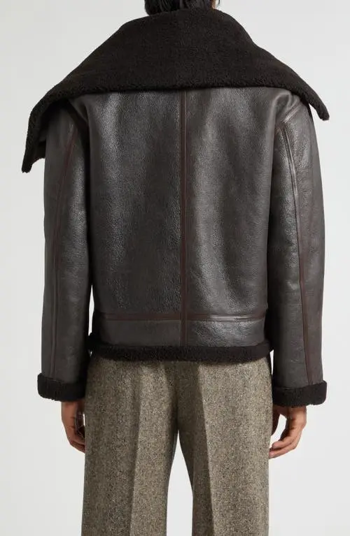 JW Anderson Belted Lambskin & Shearling Aviator Jacket - Chocolate Brown/brown