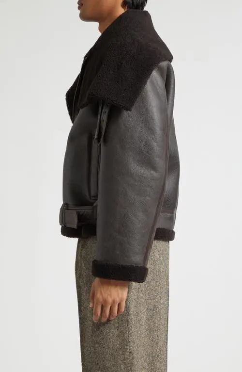JW Anderson Belted Lambskin & Shearling Aviator Jacket - Chocolate Brown/brown