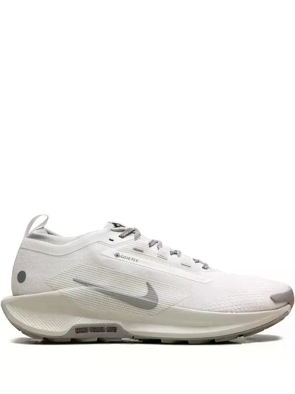Nike Pegasus Trail Gore-tex Sp Sneakers
