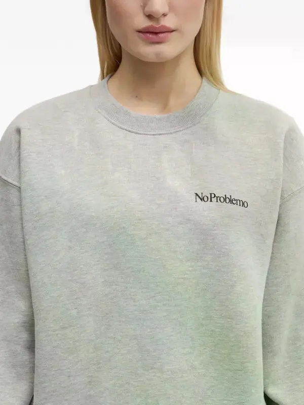 Aries Crew Neck Sweatshirt - Grey
