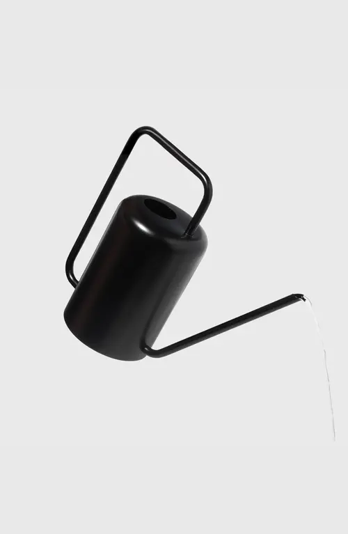 PUBLIC GOODS Watering Can