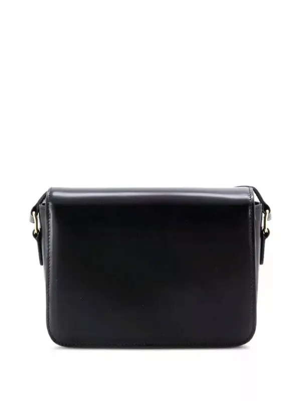 Celine Triomphe Teen Crossbody Bag Smooth Calfskin