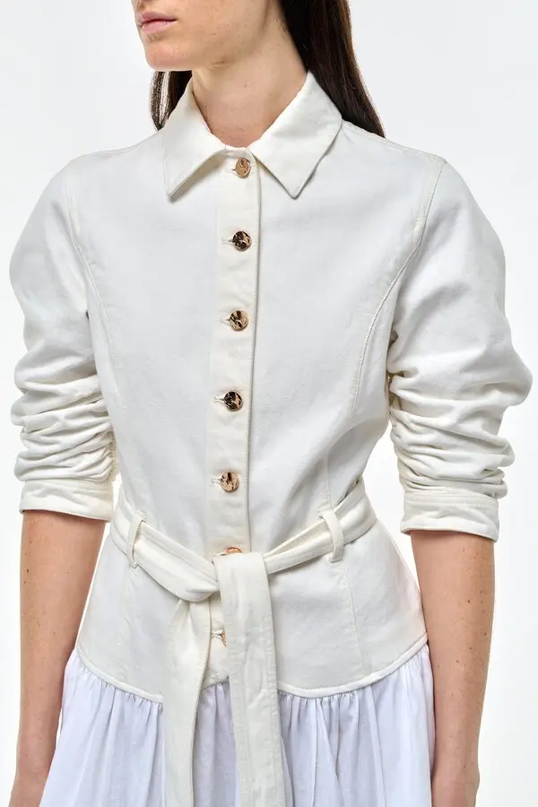 Gabriela Hearst Delyth Shirtdress In Recycled Cotton Denim & Linen