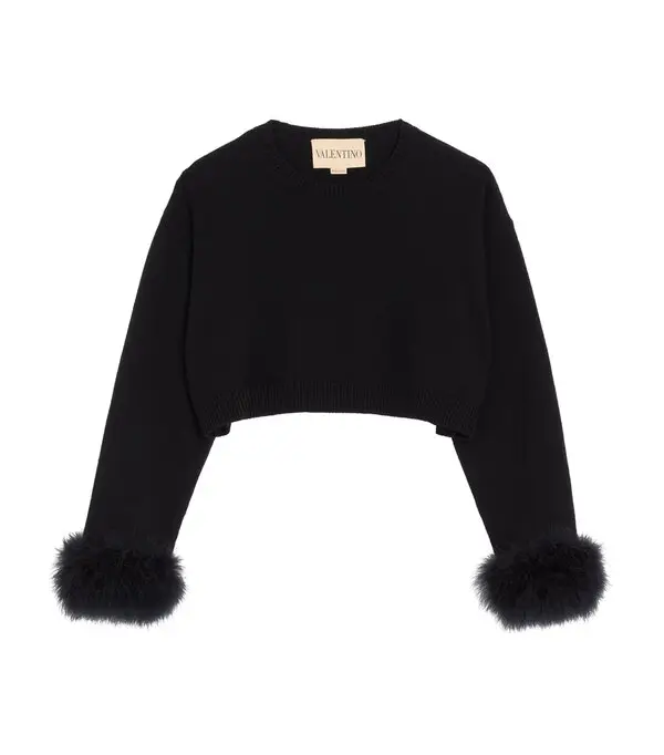 Valentino Garavani Cashmere Feather-trim Sweater