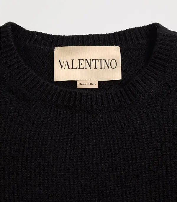 Valentino Garavani Cashmere Feather-trim Sweater