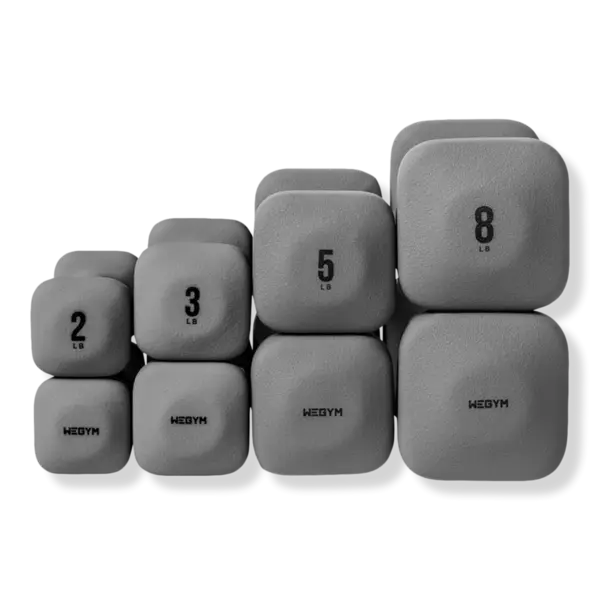 WeGym Safegrip Dumbbells Lower Set - Slate