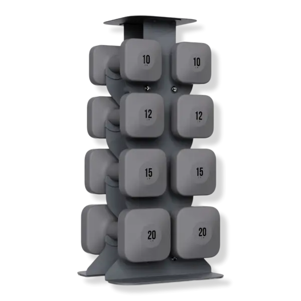 WeGym Safegrip Dumbbells Upper Set With Rack