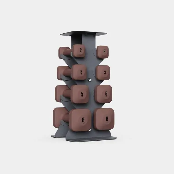 WEGYM Safegrip Dumbbells Lower Set With Dark Rack - Rose