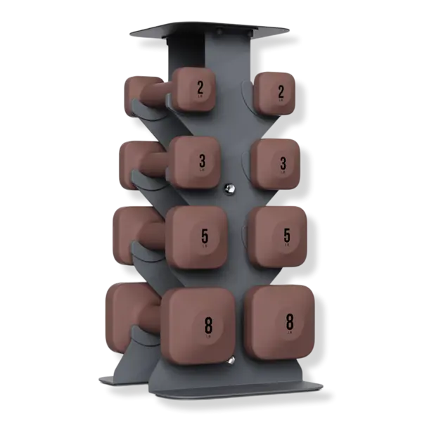 WeGym Safegrip Dumbbells Lower Set With Dark Rack - Rose