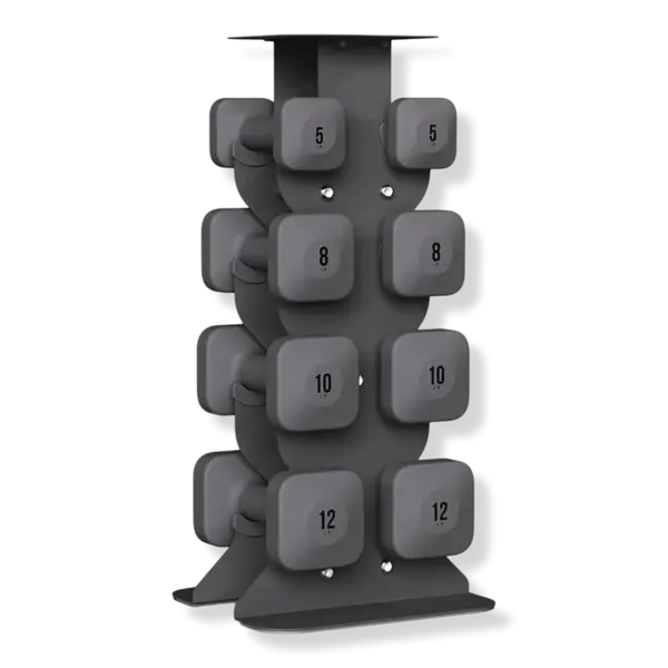WeGym Safegrip Dumbbells Middle Set With Dark Rack - Slate