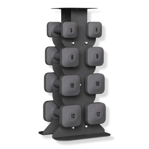 WeGym Safegrip Dumbbells Middle Set With Light Rack - Slate