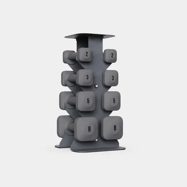 WeGym Safegrip Dumbbells Lower Set With Rack - Slate