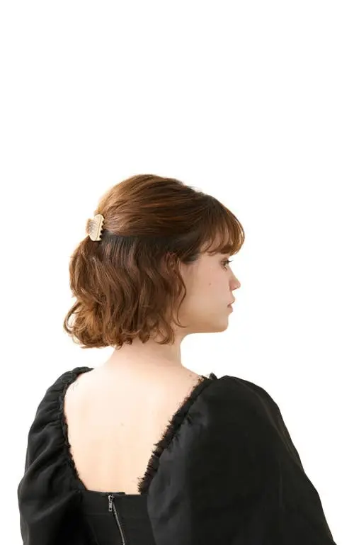 Alexandre De Paris Vendome Small Crystal Hair Claw Clip